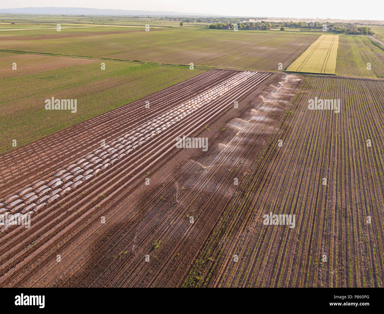 Agricultural landscape, aerial shot of an arable crop field. Arable ...