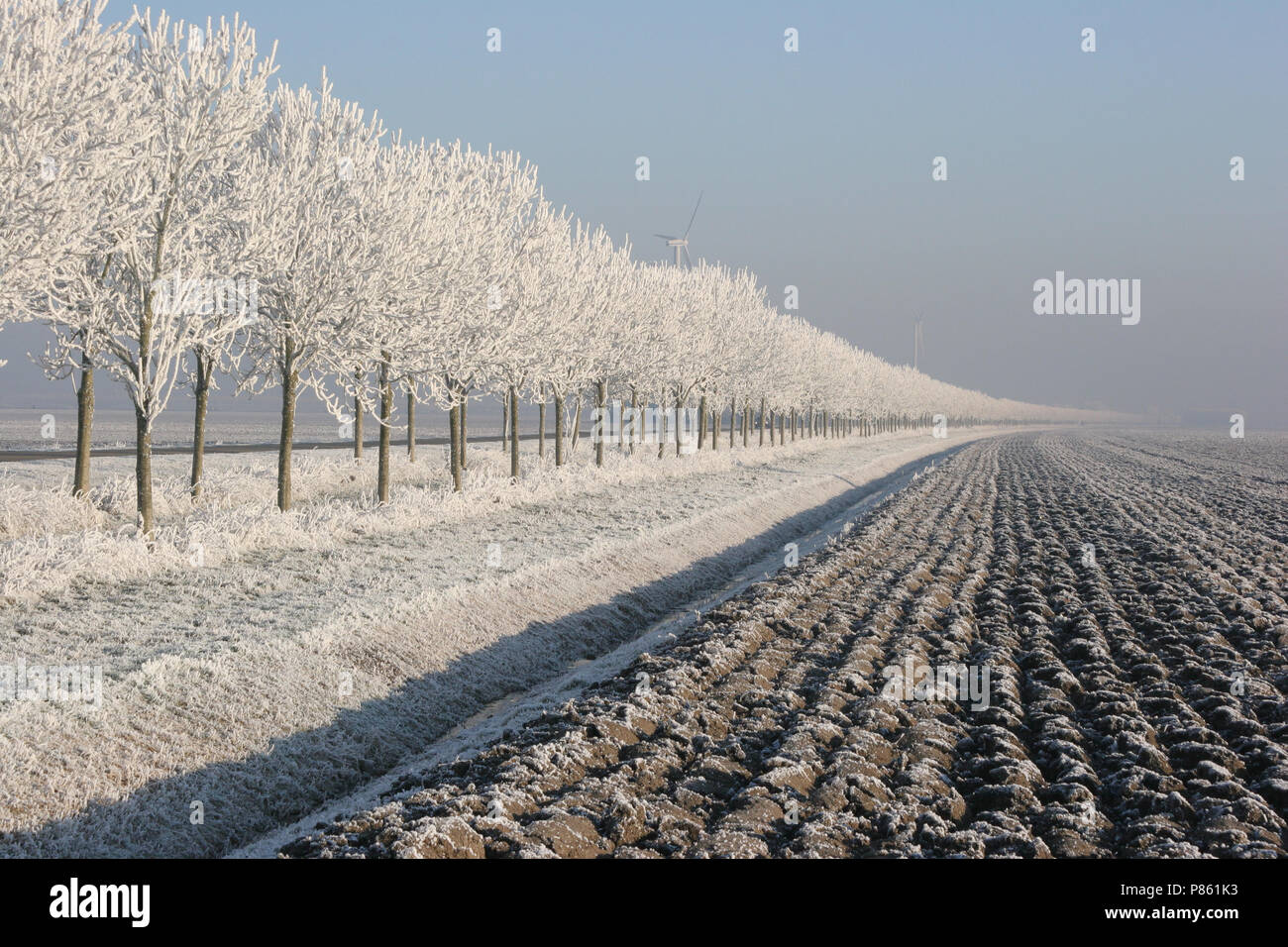 Ibisweg Zeewolde Netherlands covered in hoar-frost; Ibisweg Zeewolde ...