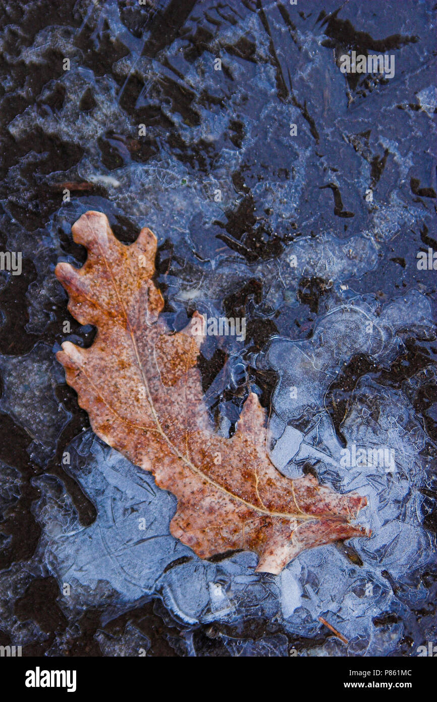 Ijsafzetting hi-res stock photography and images - Alamy