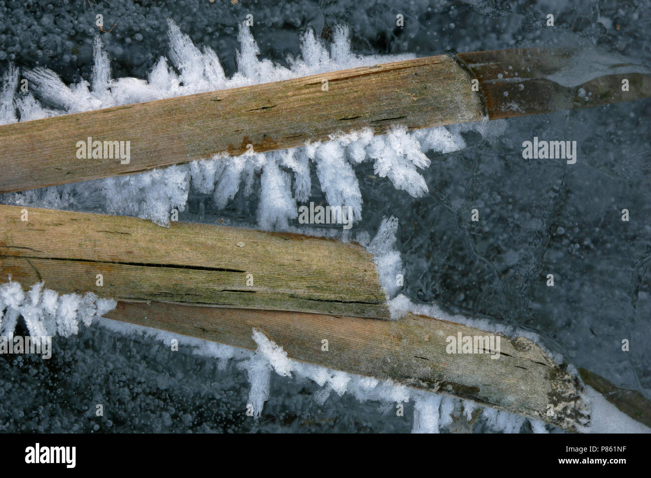 IJskristallen, Ice crystals Stock Photo - Alamy