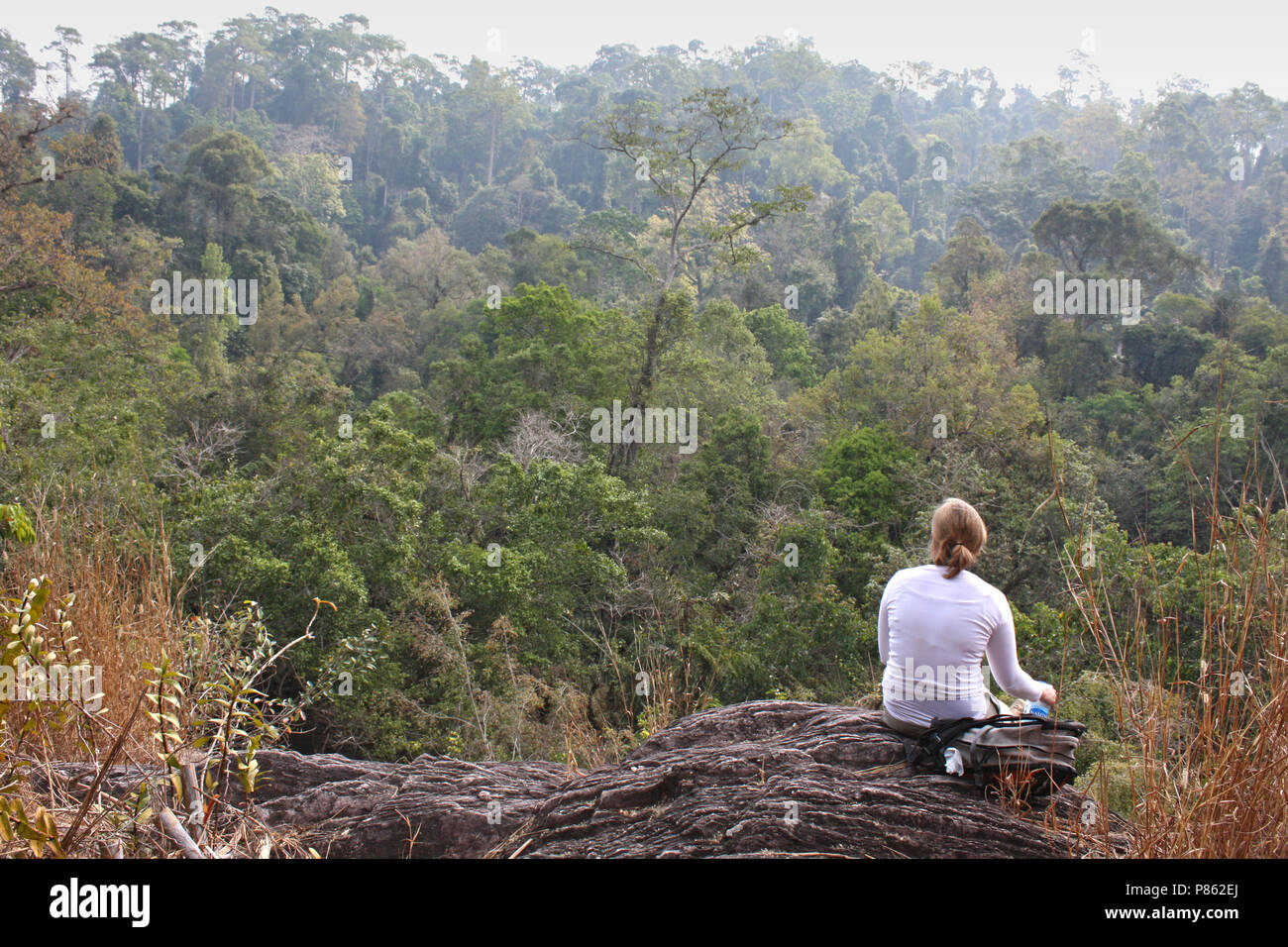 Khao yai forest hi-res stock photography and images - Alamy