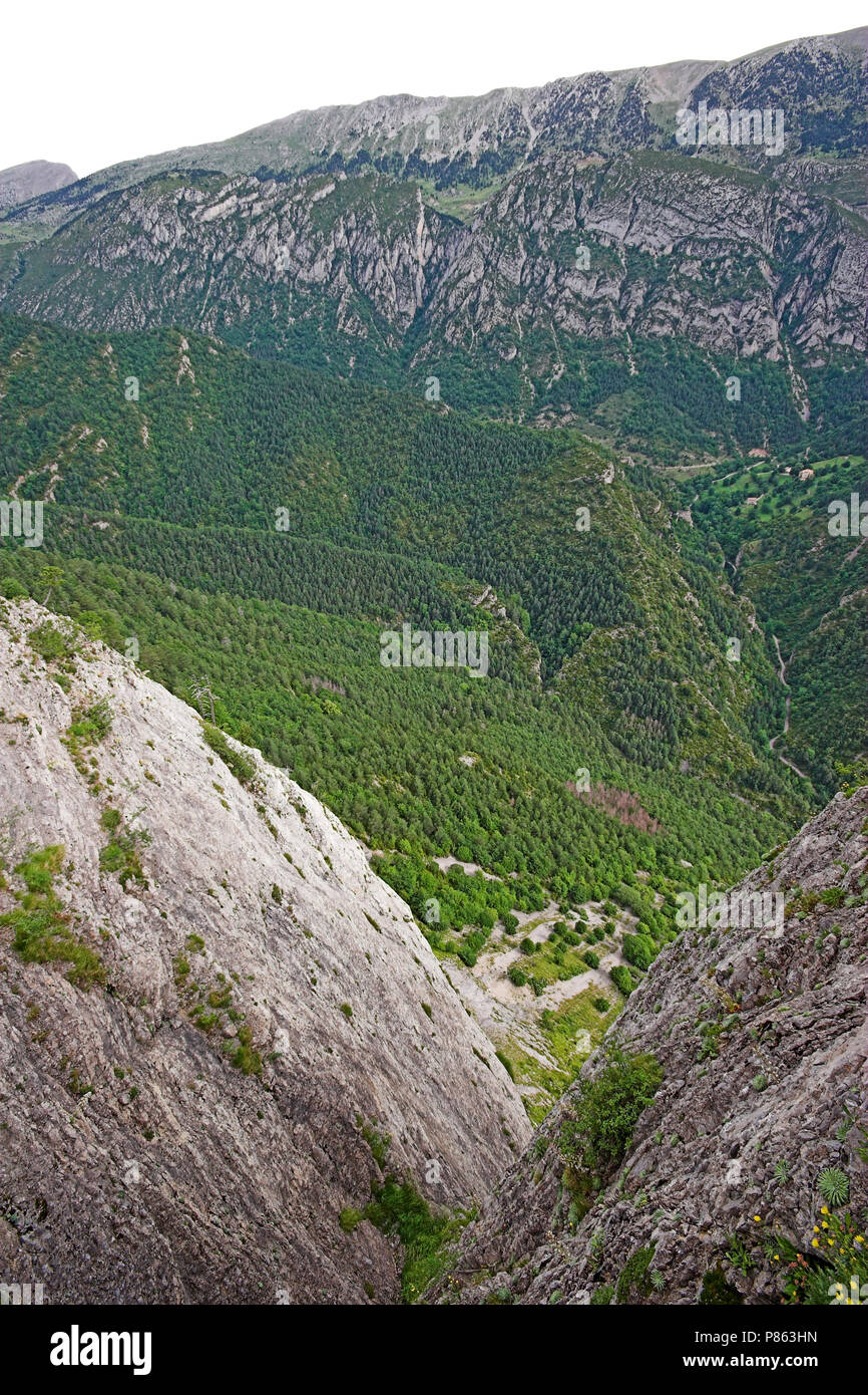 Pyreneeen hi-res stock photography and images - Alamy