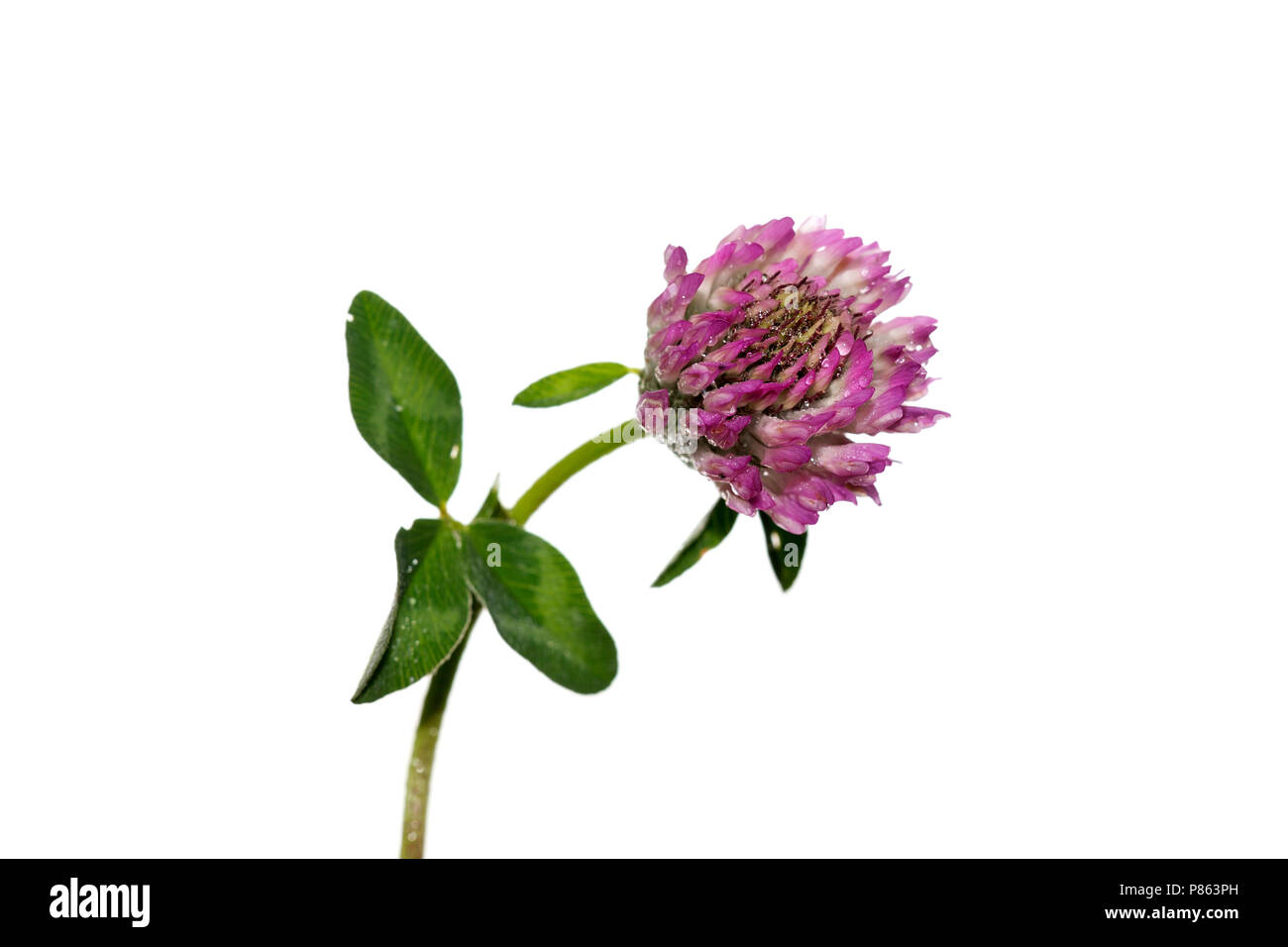 Klavér hi-res stock photography and images - Alamy