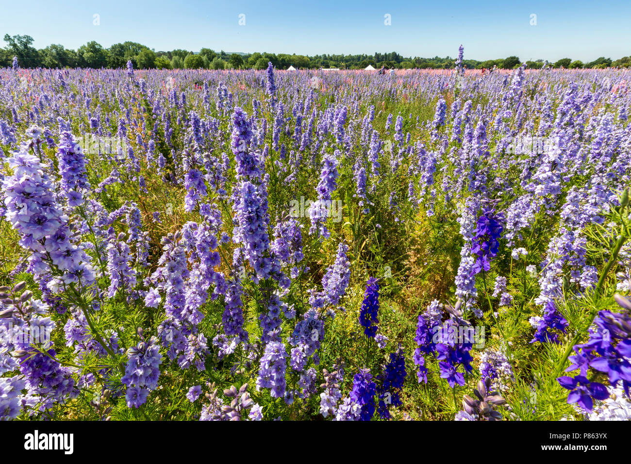 Wick worcestershire hi-res stock photography and images - Alamy