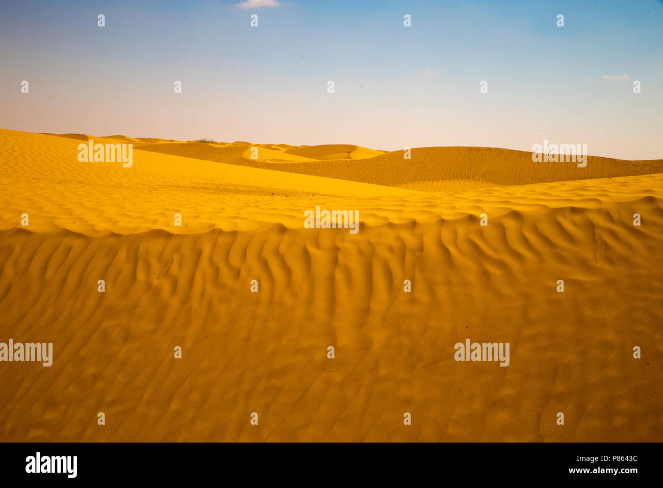 Dunes of the desert Stock Photo - Alamy