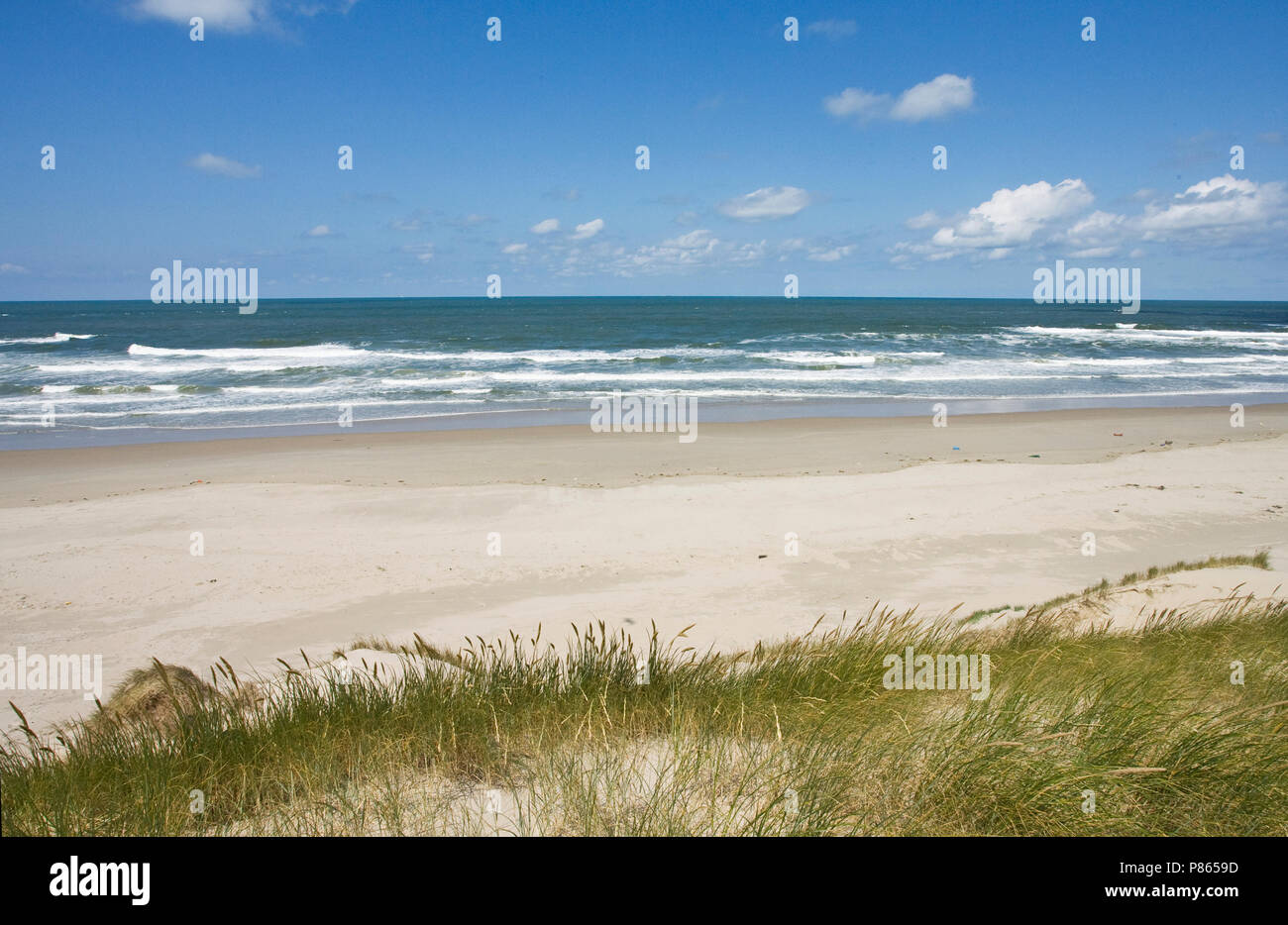 Wadden kust hi-res stock photography and images - Alamy