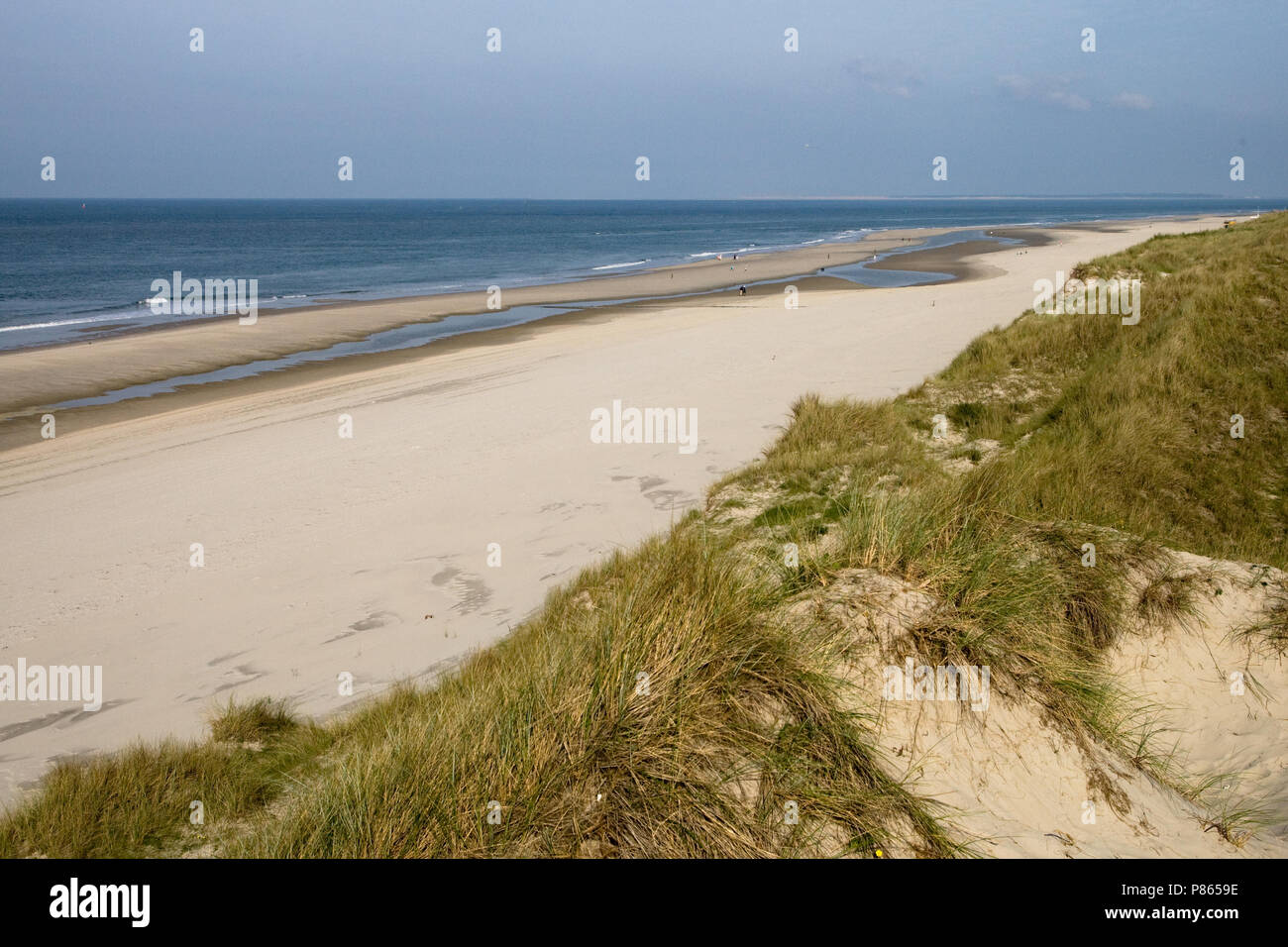 Het strand op Vlieland; The beach at Vlieland Stock Photo - Alamy