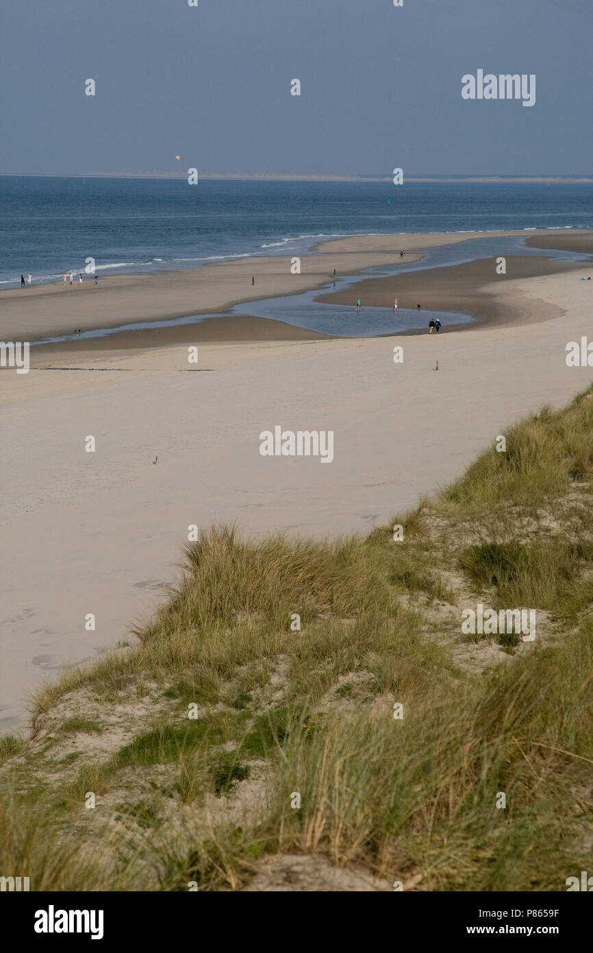 Vlieland strand hi-res stock photography and images - Alamy