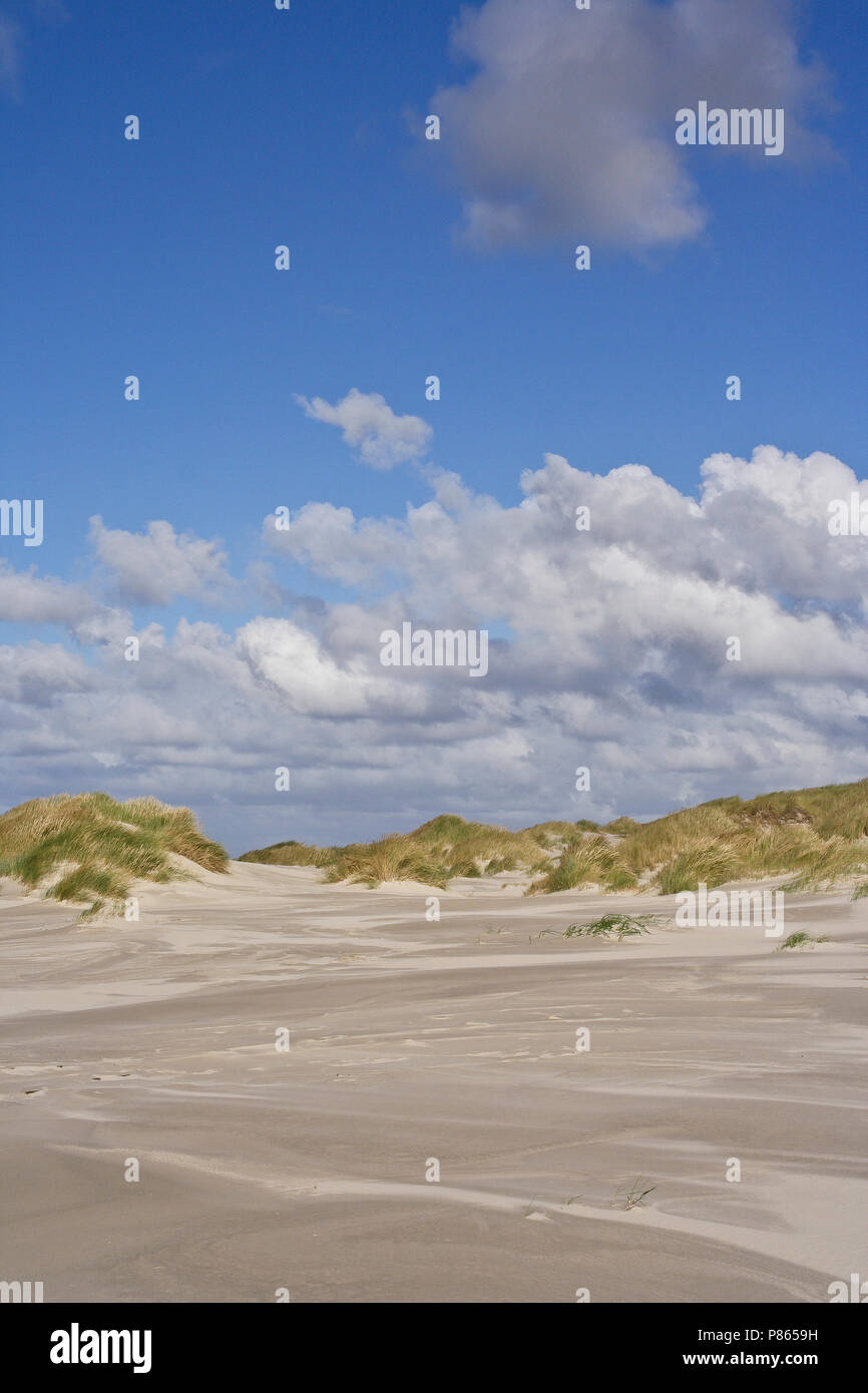 Het strand op Vlieland; The beach on Vlieland Stock Photo - Alamy