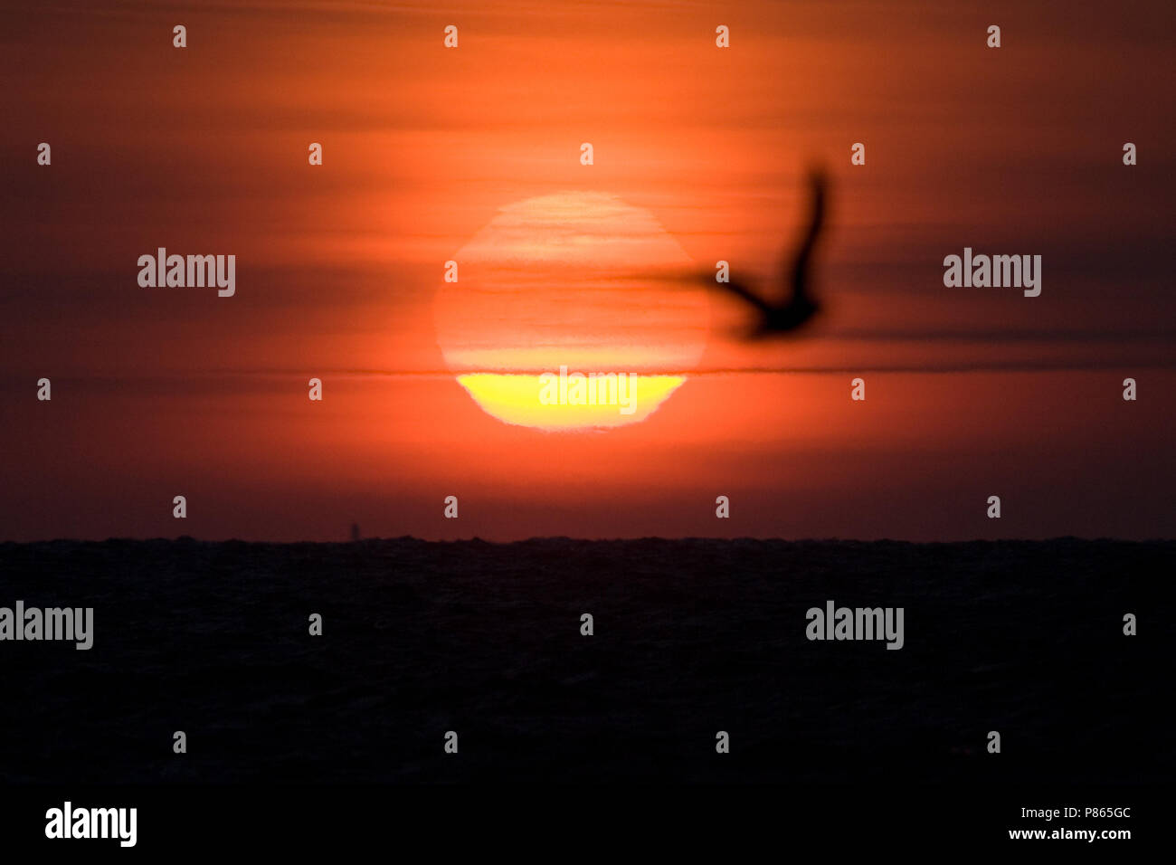 Ondergaande zon hi-res stock photography and images - Alamy