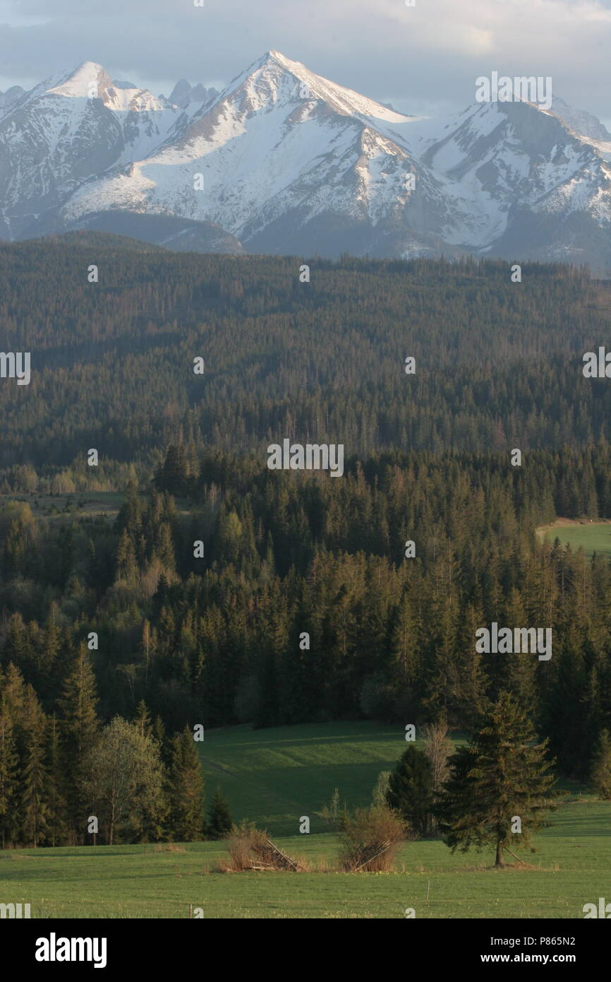Tatra gebergte, Tatra Mountains Stock Photo - Alamy