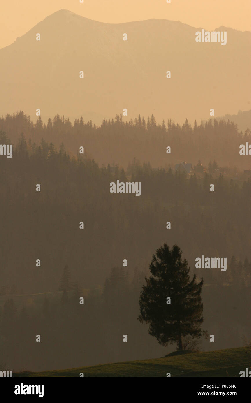 Tatra gebergte, Tatra Mountains Stock Photo - Alamy