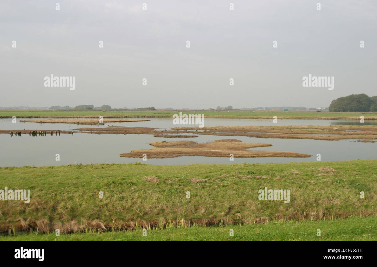 Natuurgebied op Texel; Nature reserve on Texel Stock Photo - Alamy