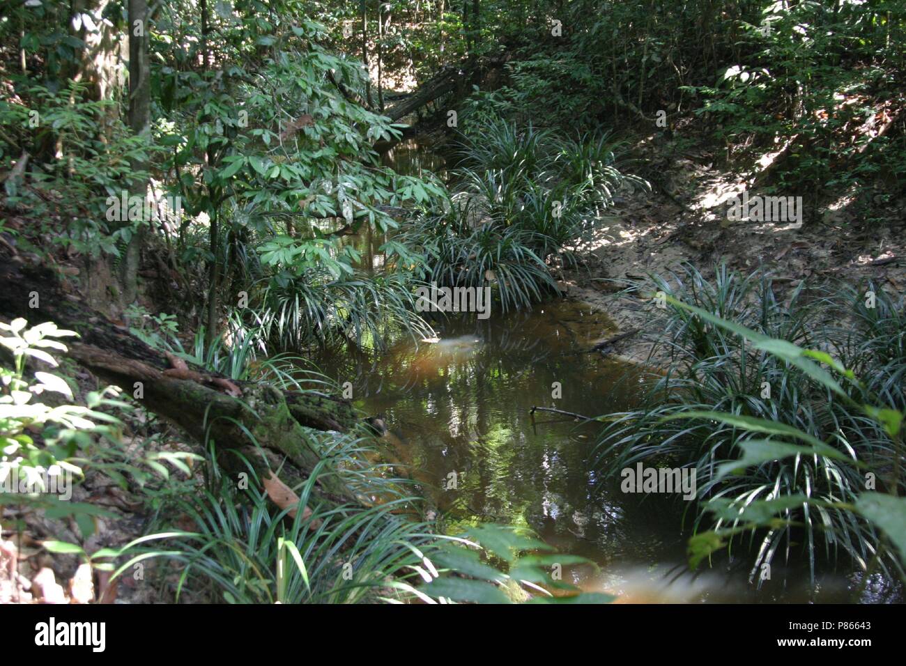 Danum river hi-res stock photography and images - Alamy