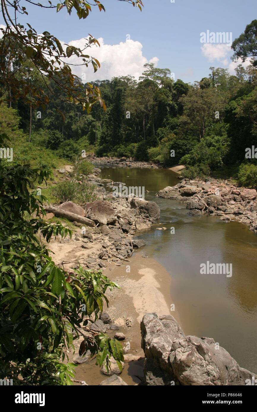 Danum river hi-res stock photography and images - Alamy