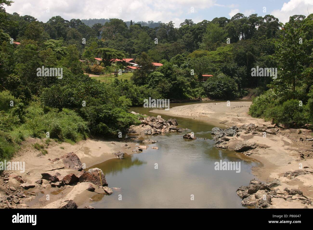 Rivier door Danum; River through Danum Valley Stock Photo - Alamy