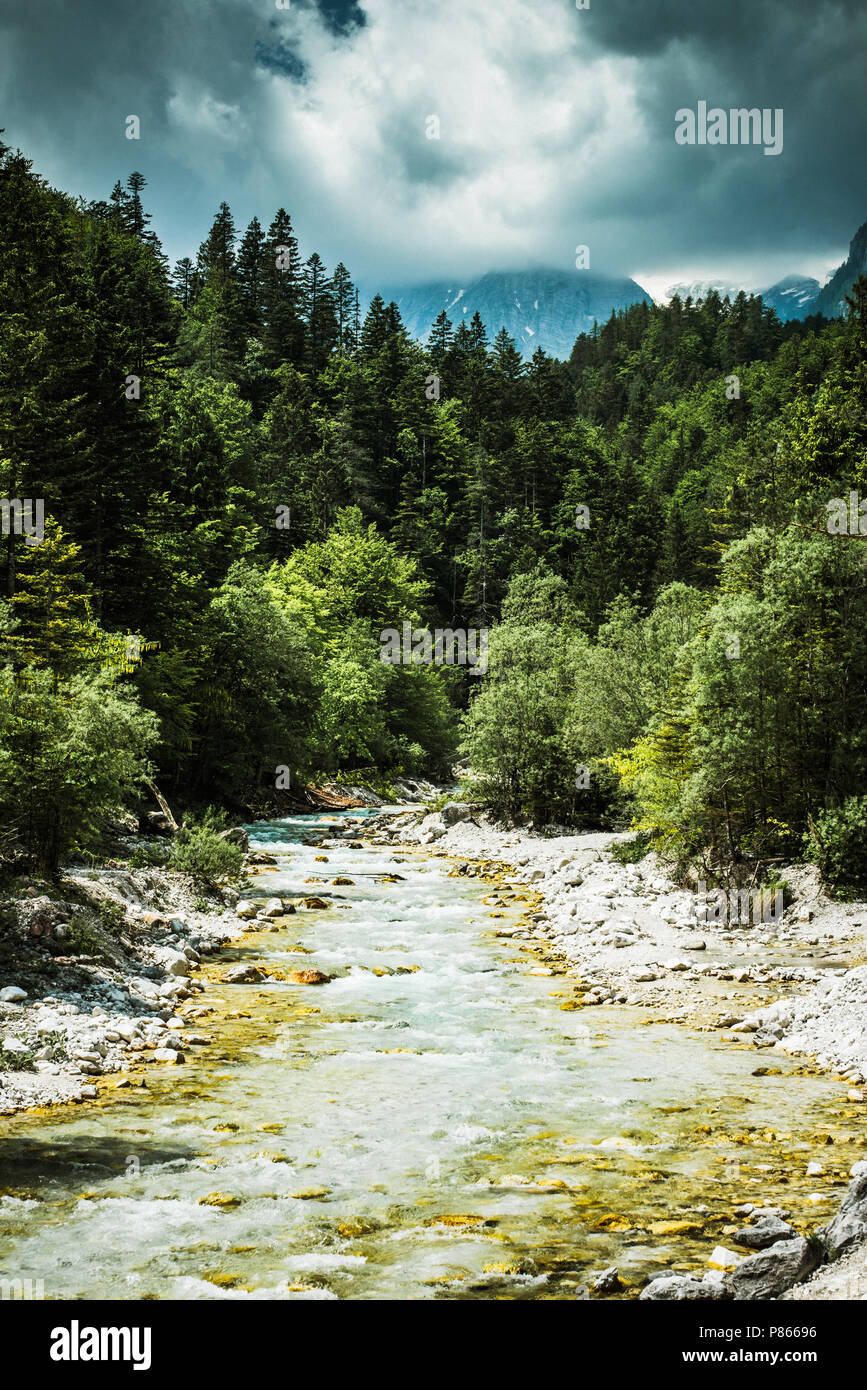 Clear water in Alpine river, Slovenia Triglav Park Stock Photo - Alamy