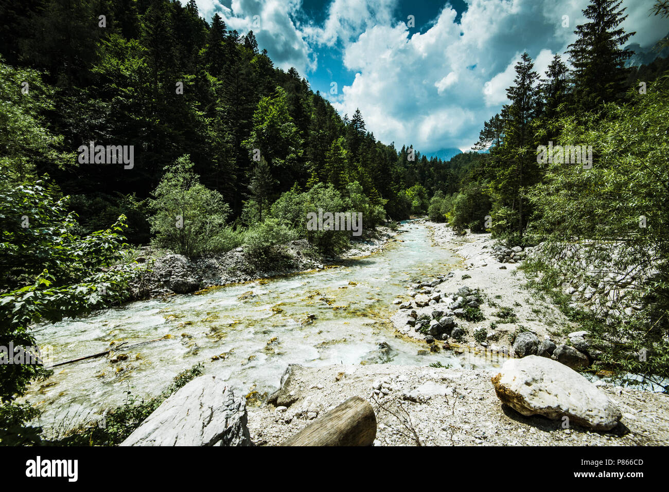 Mountains river flowing trough forest in Alps Stock Photo - Alamy