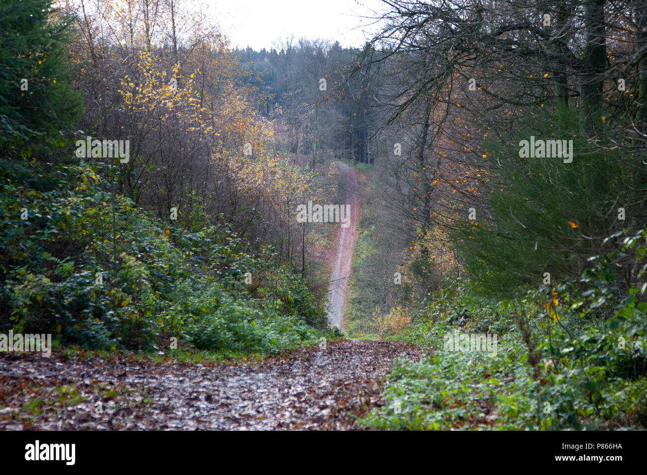 Vaals limburg hi-res stock photography and images - Alamy