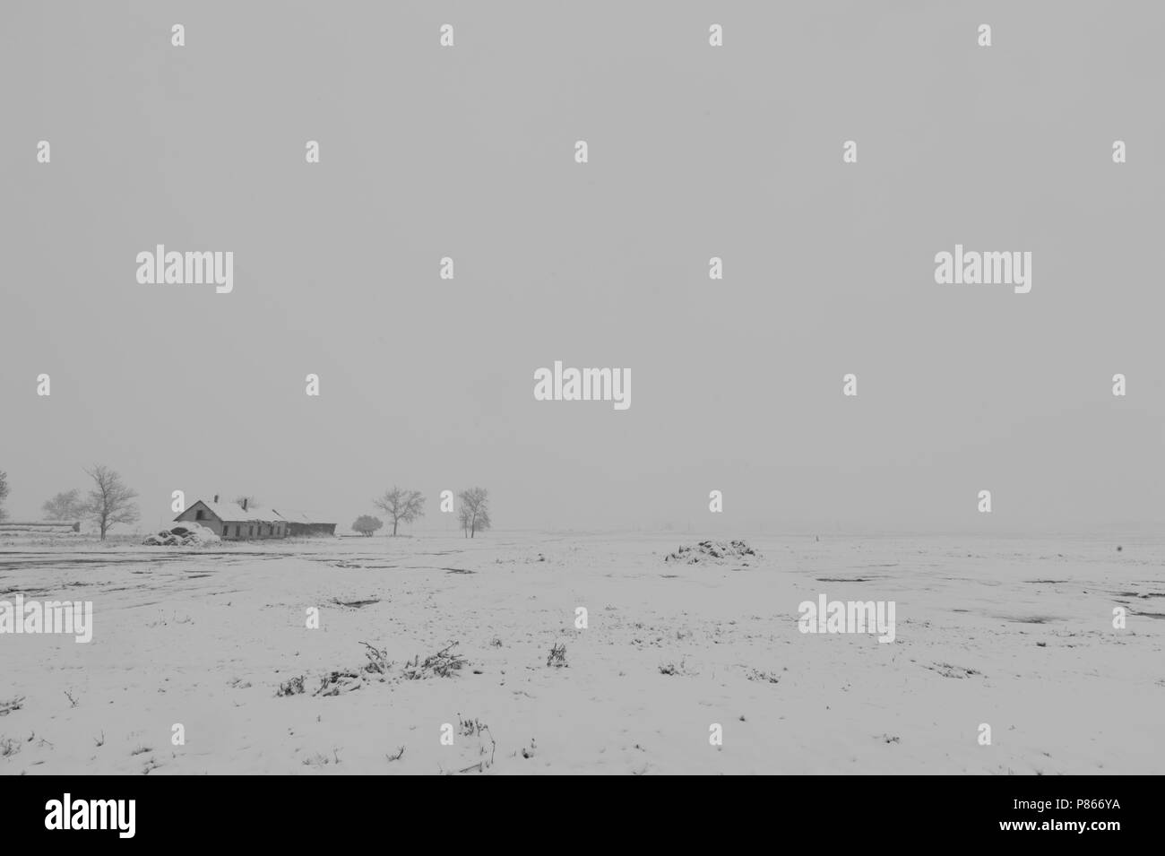 Boerderij in winters landschap, Farm in winter landscape Stock Photo ...