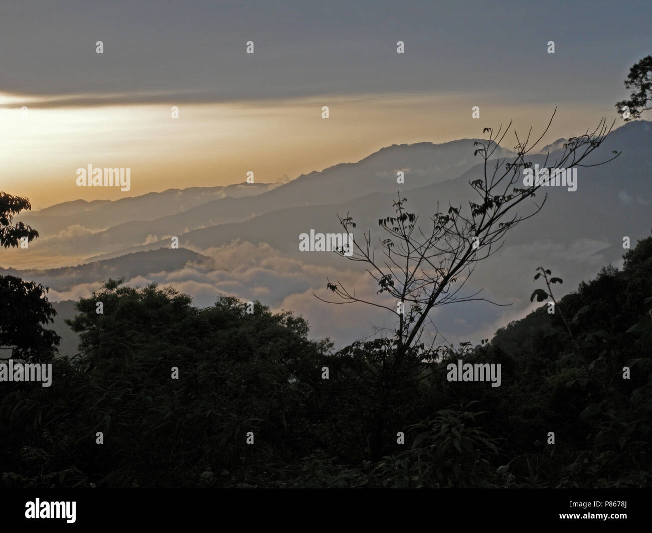 Wushe landschap Taiwan, Wushe scenery Taiwan Stock Photo - Alamy