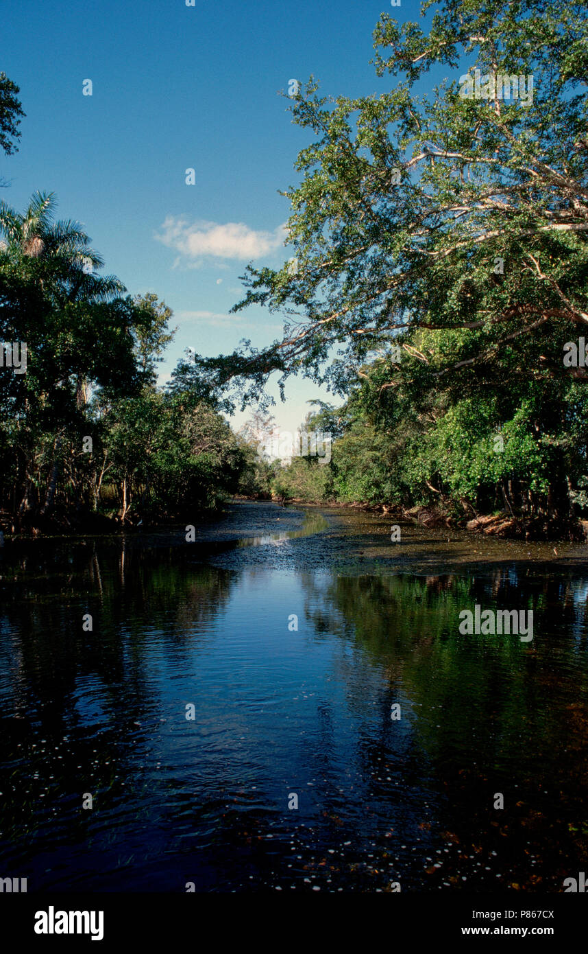 Zapata Marsh Cuba, Zapata moeras Cuba Stock Photo - Alamy