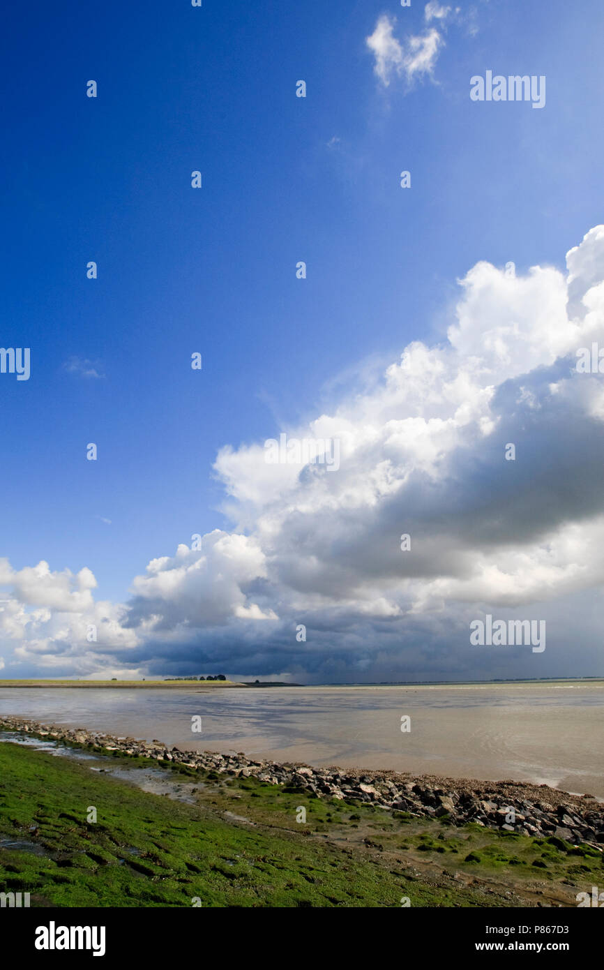 Zeedijk langs de Westerschelde Netherlands, Coastal dike Westerschelde ...