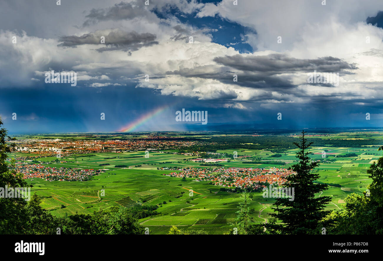 Aerial panoramic view of the rainbow over the green valley, drone ...