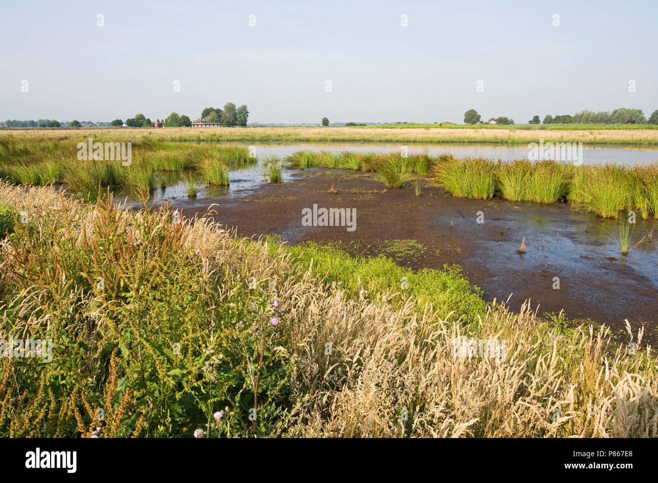 Natuurontwikkeling hi-res stock photography and images - Alamy
