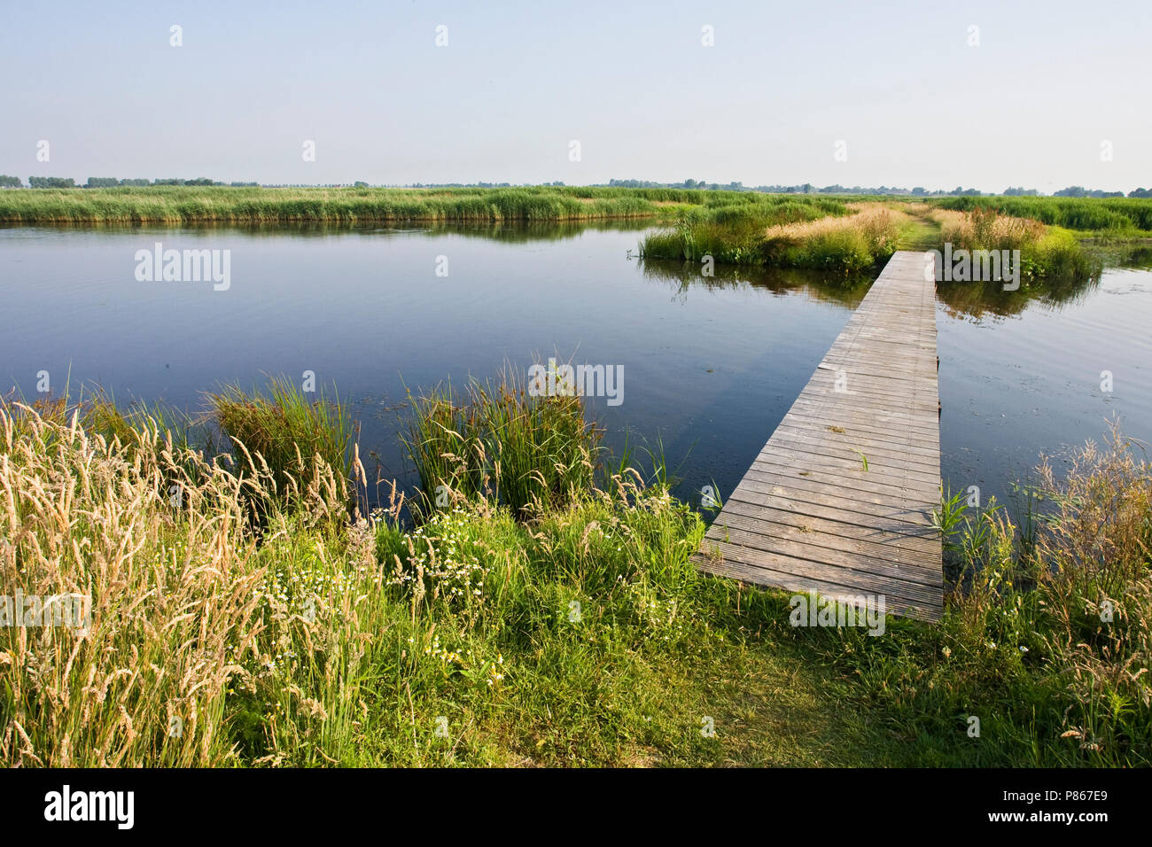 Natuurontwikkeling hi-res stock photography and images - Alamy