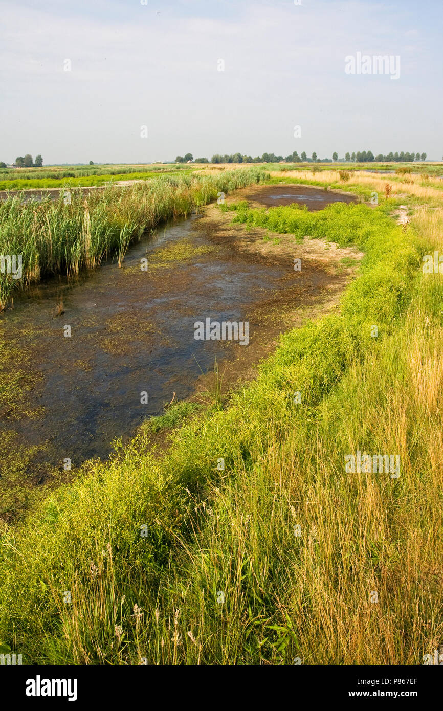 Groene Jonker, Zevenhoven, Netherlands Stock Photo - Alamy