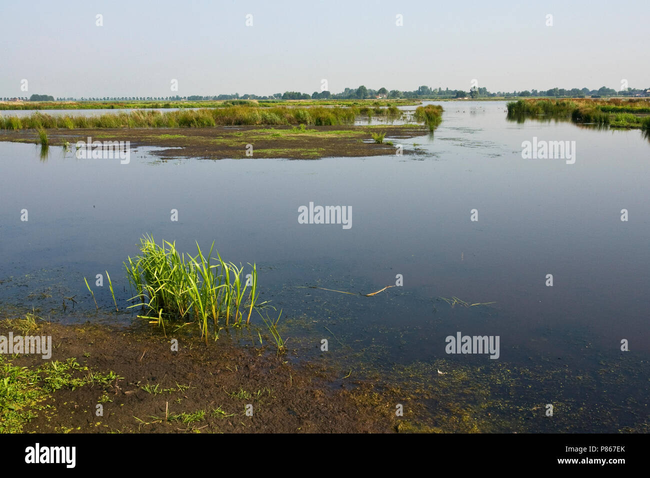 Jonker hi-res stock photography and images - Alamy