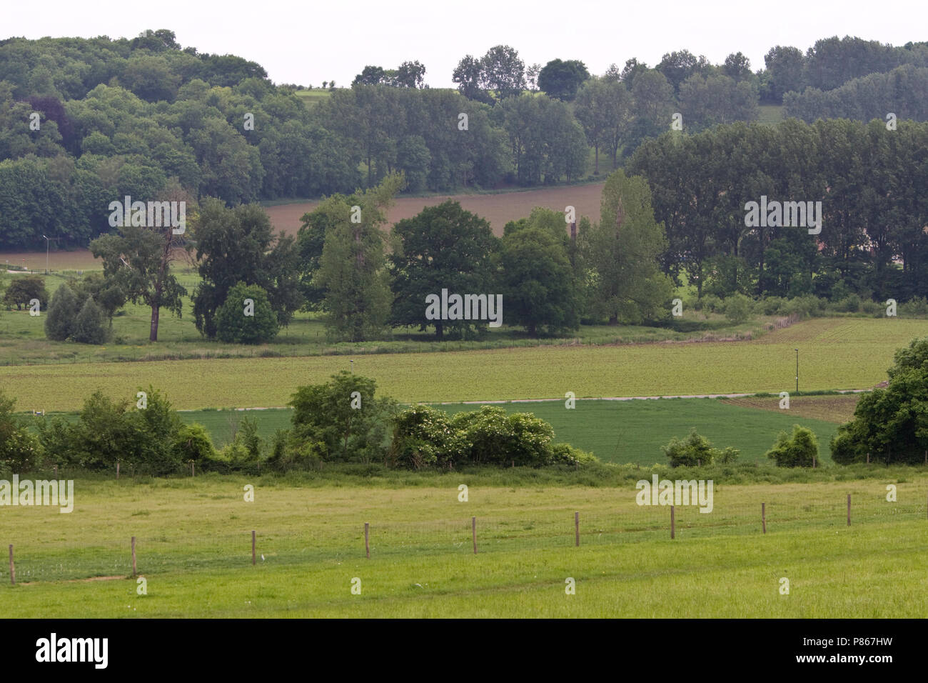 Heuvellandschap Zuid-Limburg Nederland, Hills Zuid-Limburg Netherlands ...