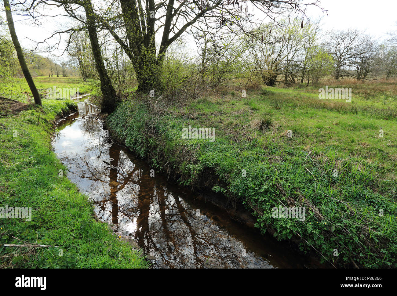 De Drentsche Aa is een beekdallandschap Stock Photo - Alamy