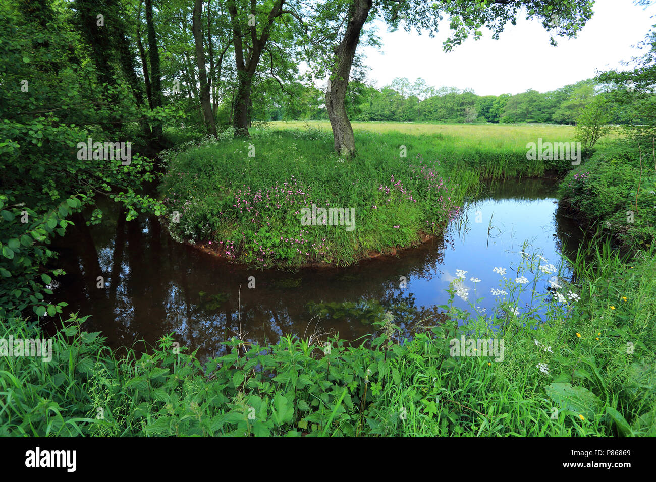 Drentse aa hi-res stock photography and images - Alamy