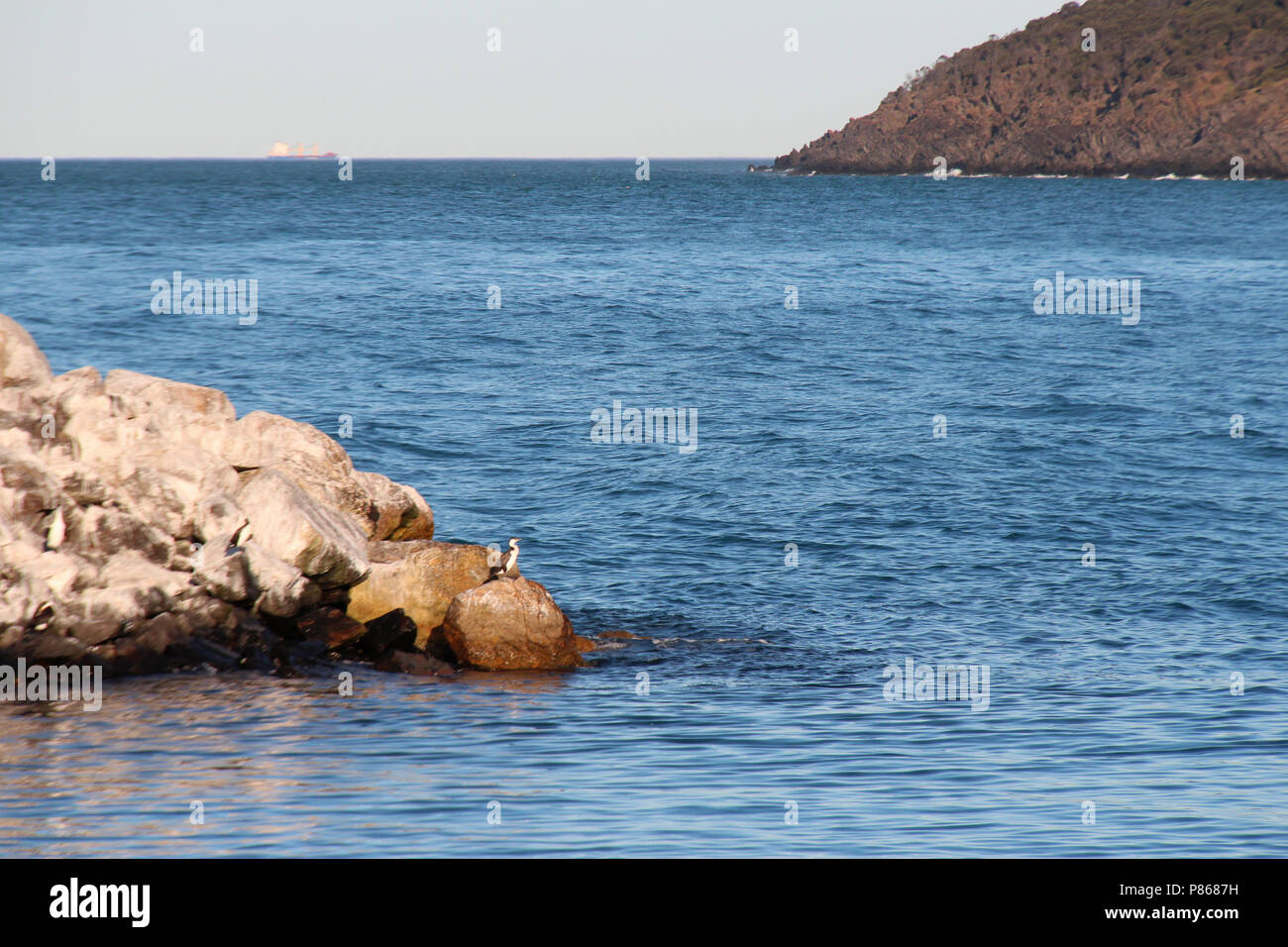 In Penneshaw in Kangaroo Island (Australia Stock Photo - Alamy