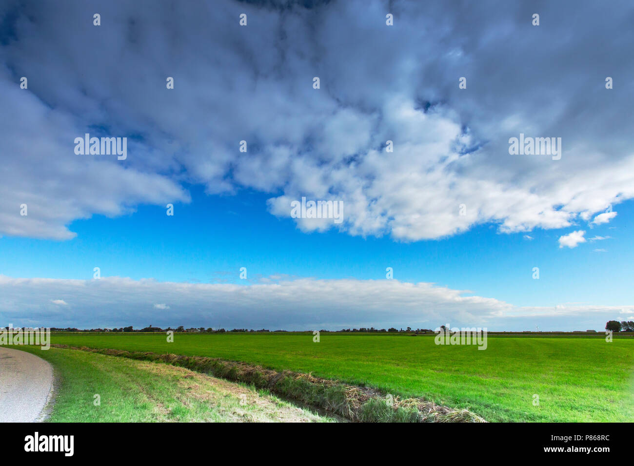Weiland langs de waddenkust, Meadow along the Wadden Sea Stock Photo ...