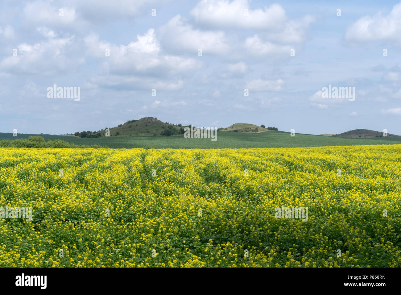 Spring agricultural landscape, Podilski Tovtry National nature park ...