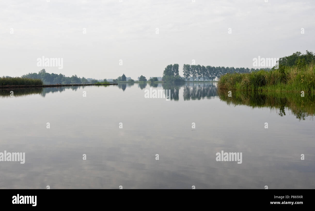 Botshol hi-res stock photography and images - Alamy