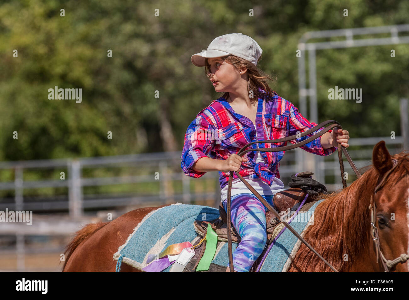 Girl on back of horse hi-res stock photography and images - Alamy