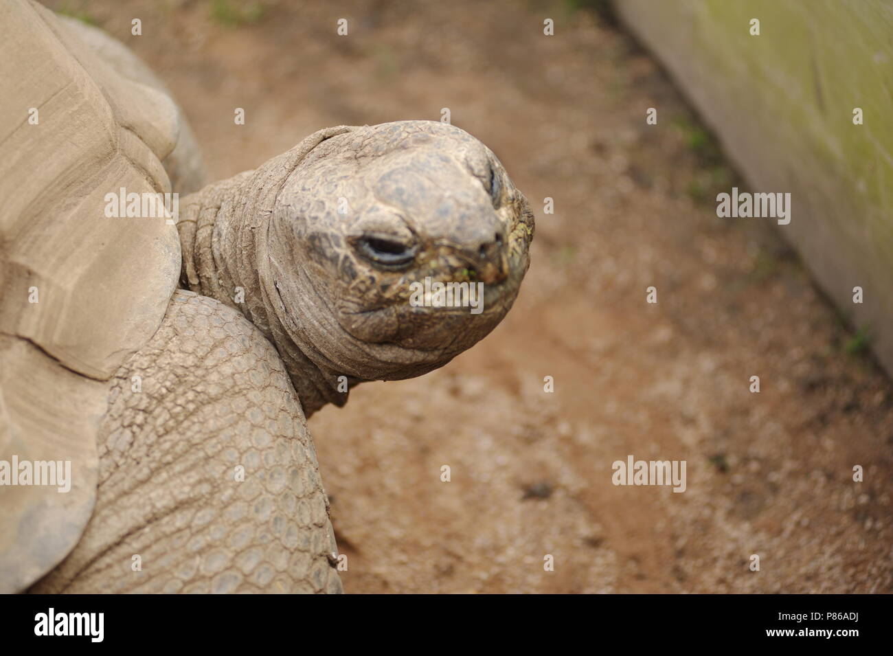Habitat house hi-res stock photography and images - Alamy