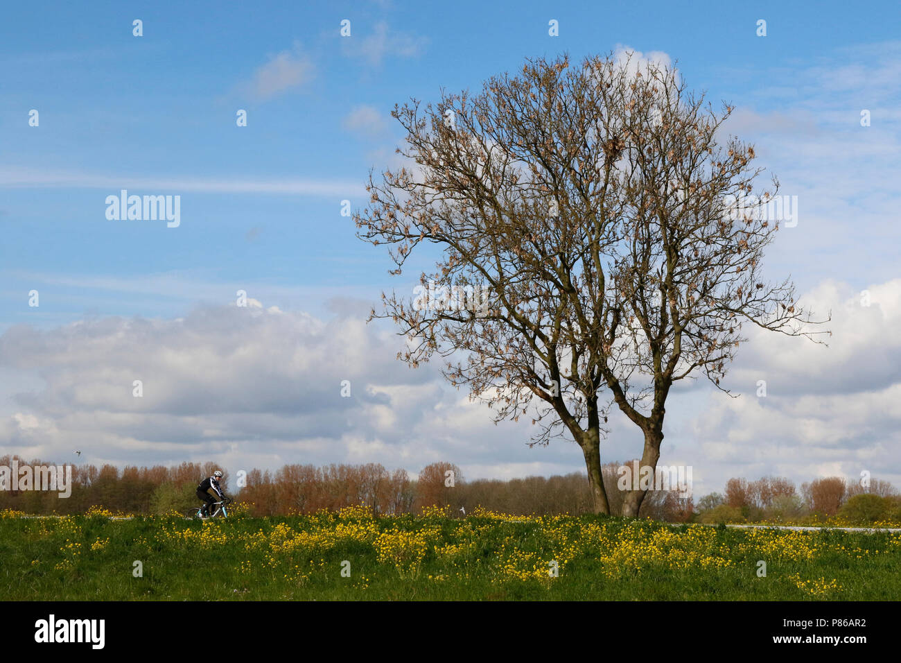 Fietser hi-res stock photography and images - Alamy