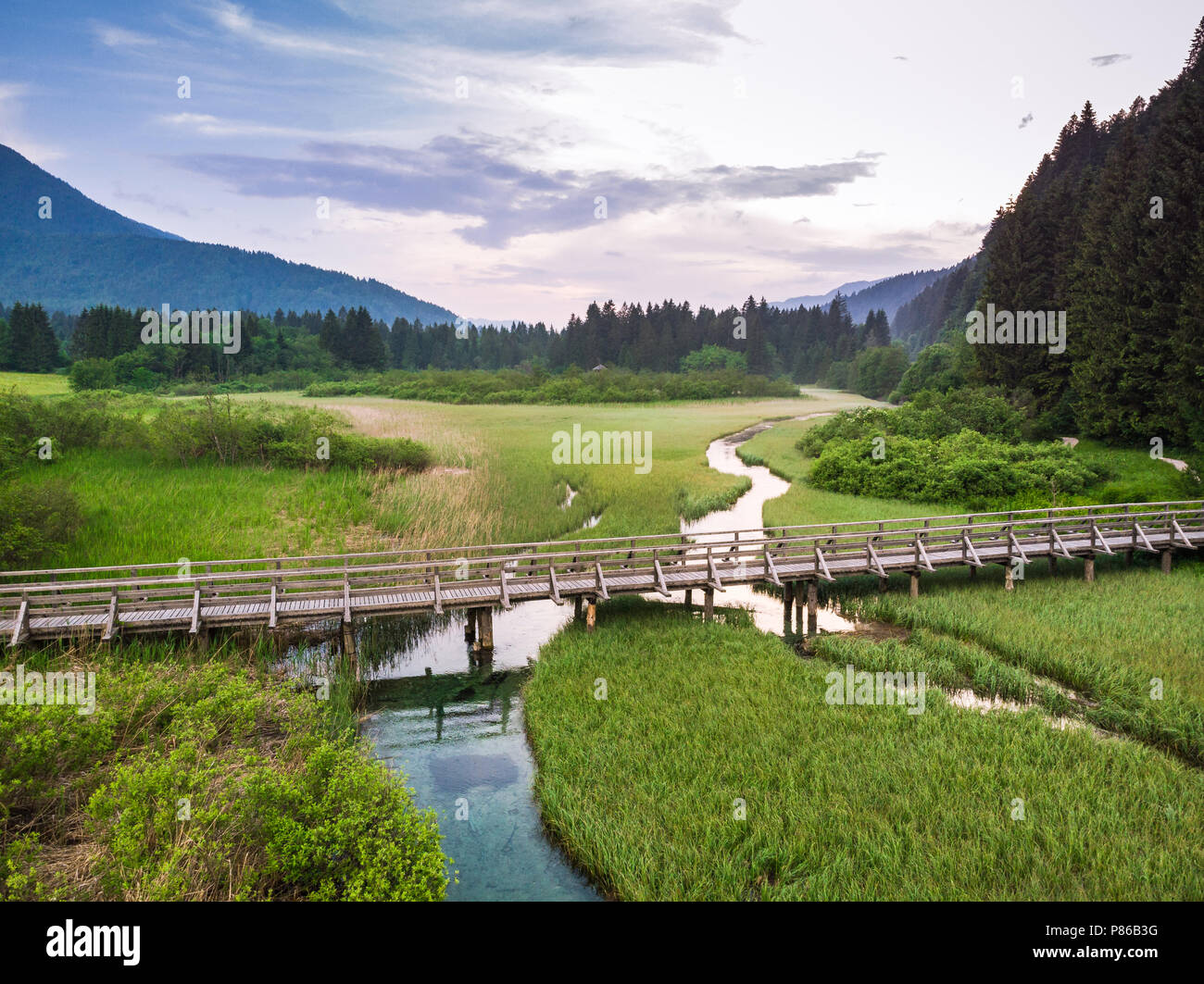 Wooden footpath or bridge over natural water reserve Stock Photo - Alamy