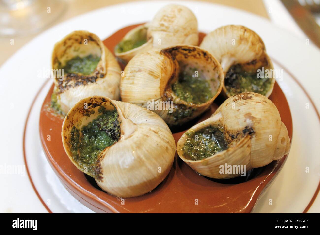 typical french dish, snails with green sauce Stock Photo - Alamy