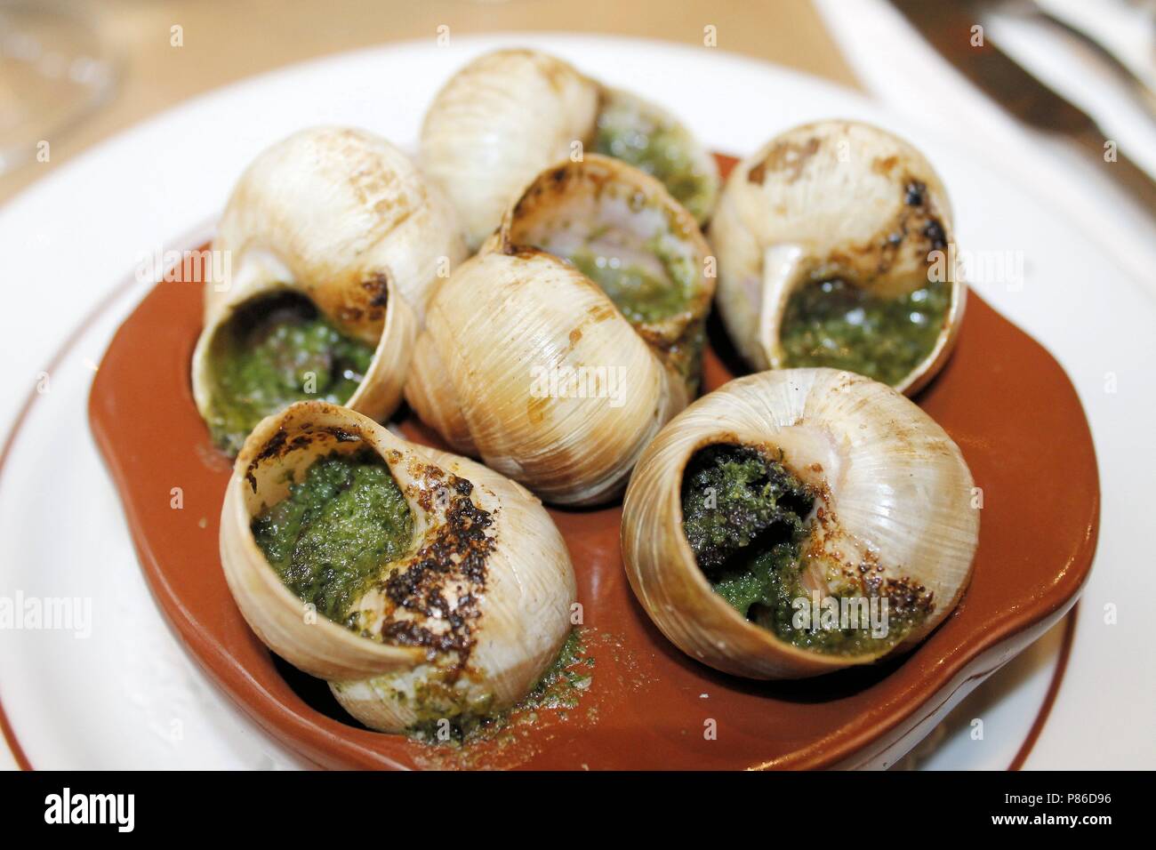 French Snails