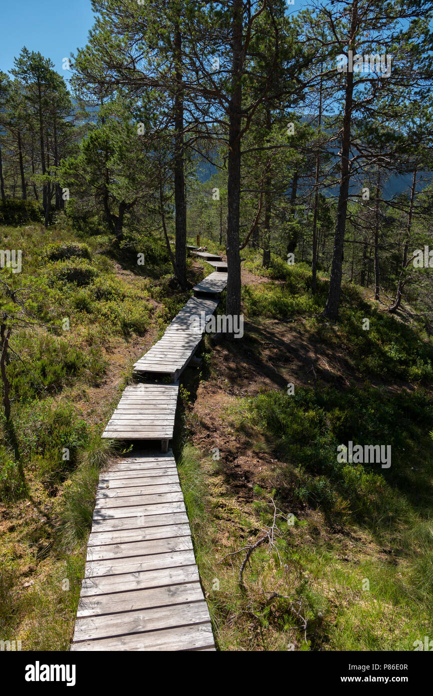 Accessible public space hi-res stock photography and images - Alamy