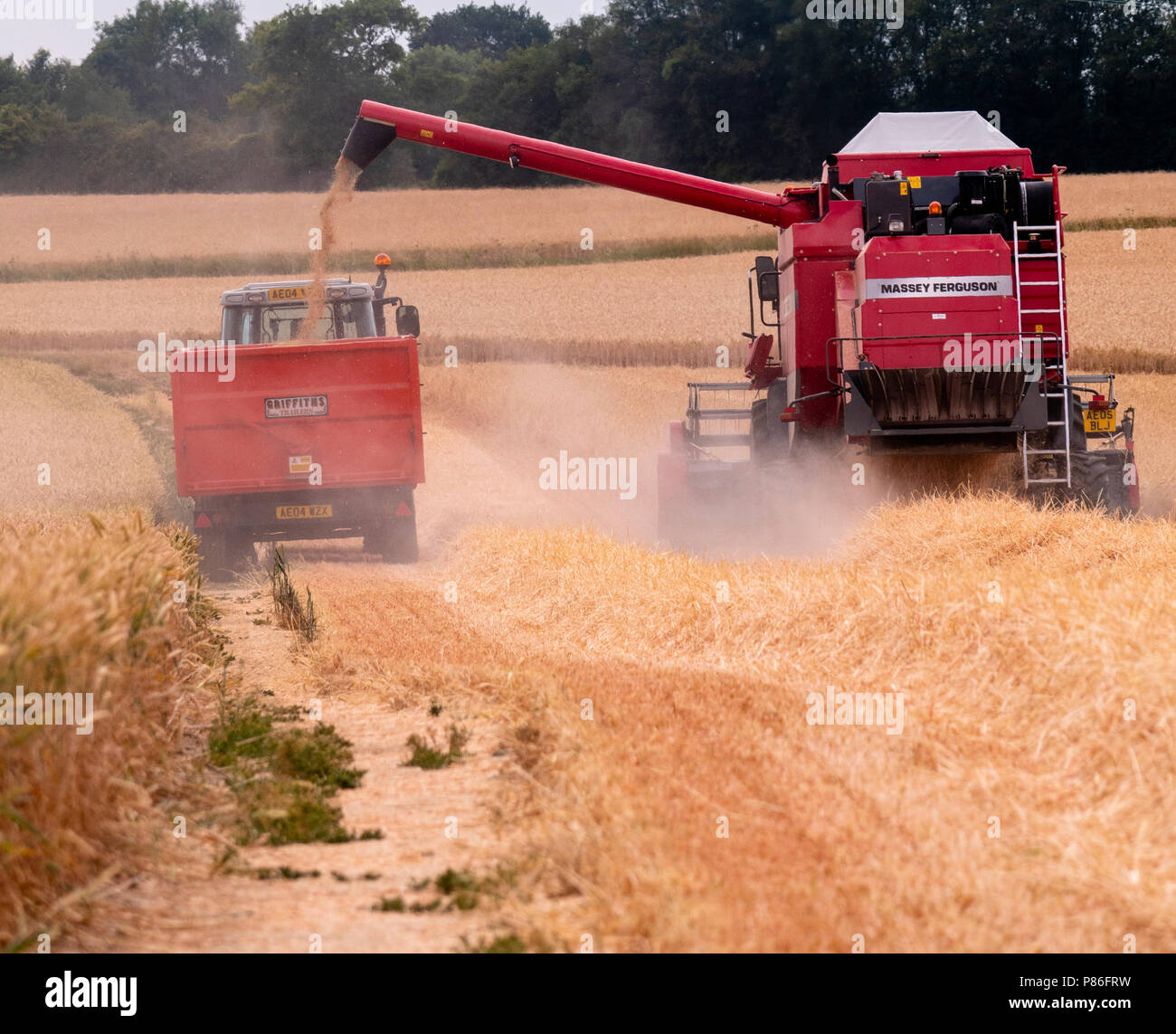 Combine harvester uk barley hi-res stock photography and images - Alamy