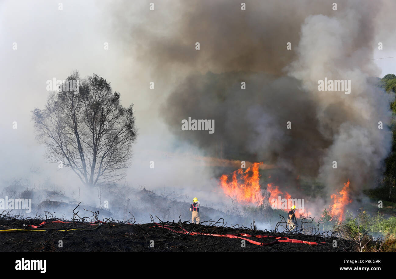 Heath fire dorset hi-res stock photography and images - Alamy