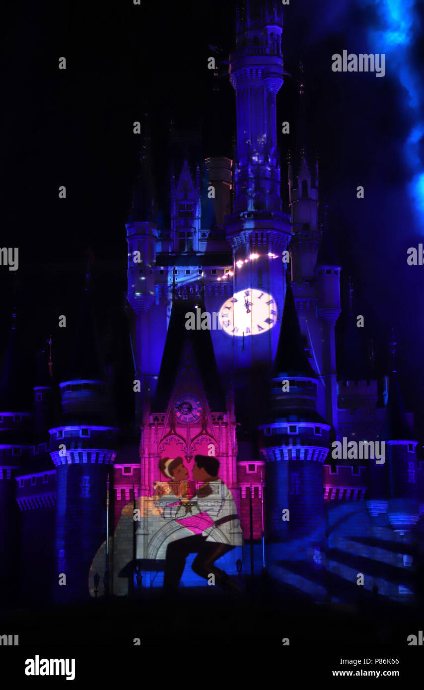 Cinderella Castle Projection