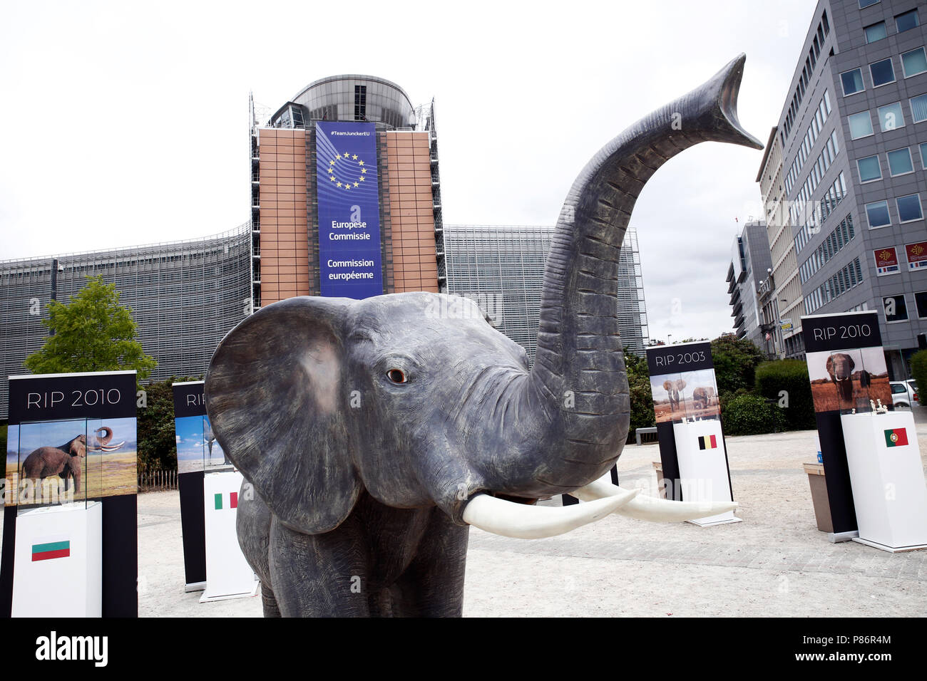 Ivory ban hi-res stock photography and images - Alamy